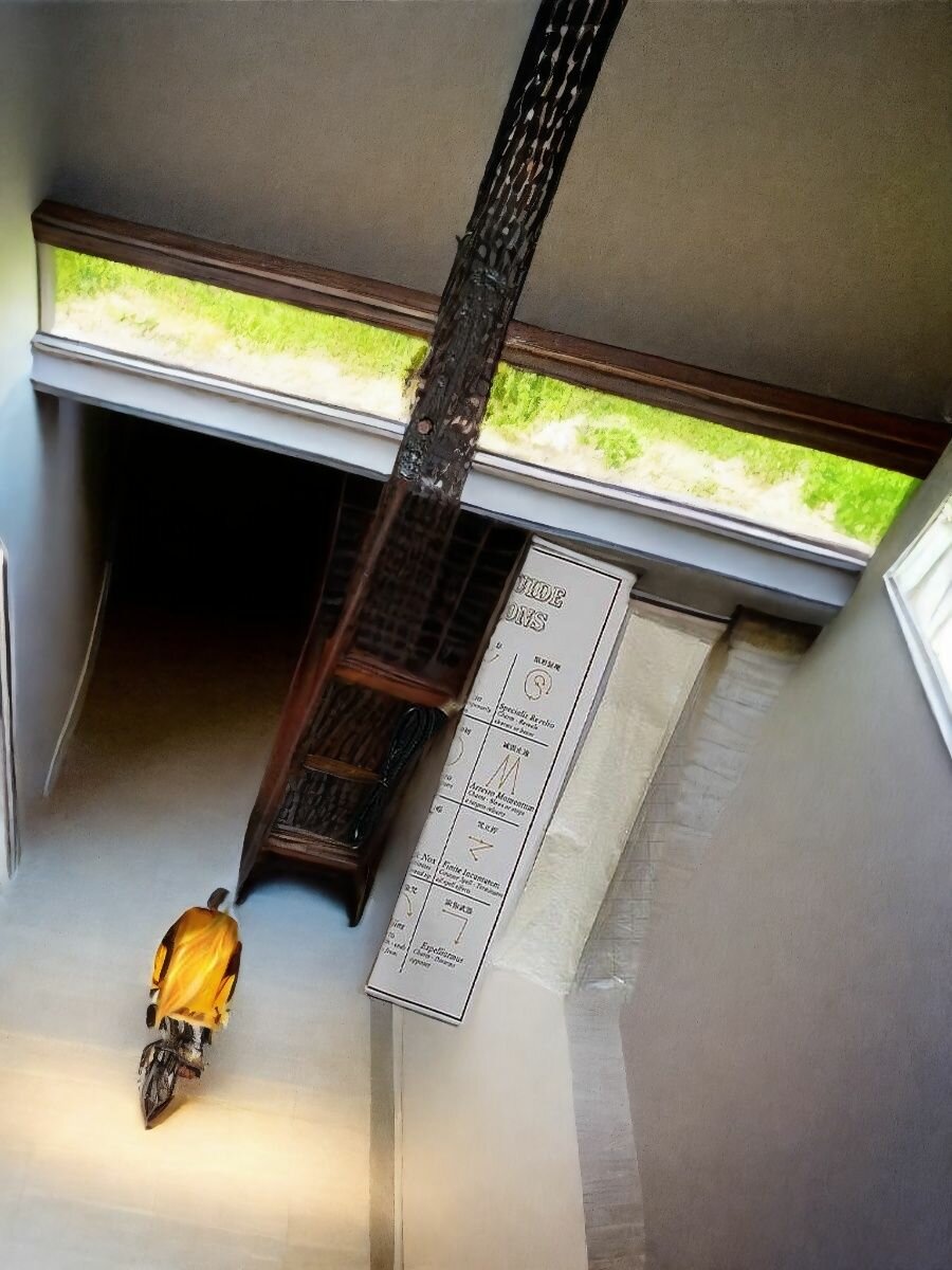 Волшебная палочка Дамблдора в эксклюзивной коробке класса Люкс