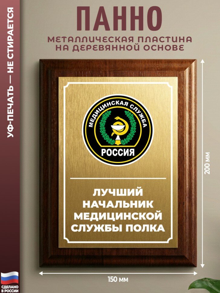 Настенный диплом "Лучший начальник медицинской службы полка"