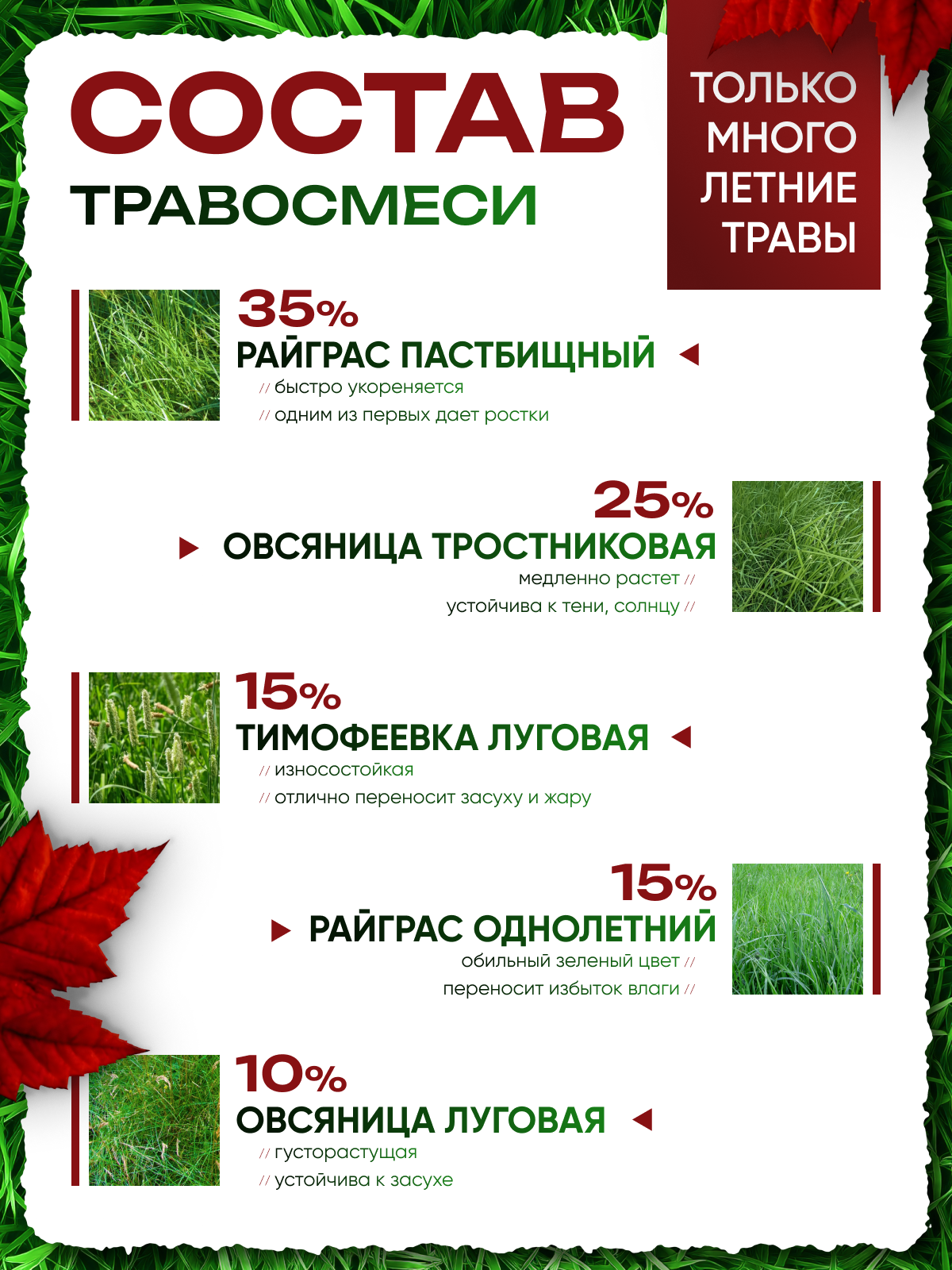 Газонная трава семена Канада Грин Универсальная 2 кг / Канада Грин Универсальный 2 кг/ Canada Green Universal 2 кг