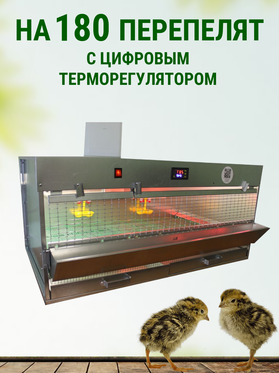 Брудер для перепелов на 180 голов Подворье автоматический стандарт