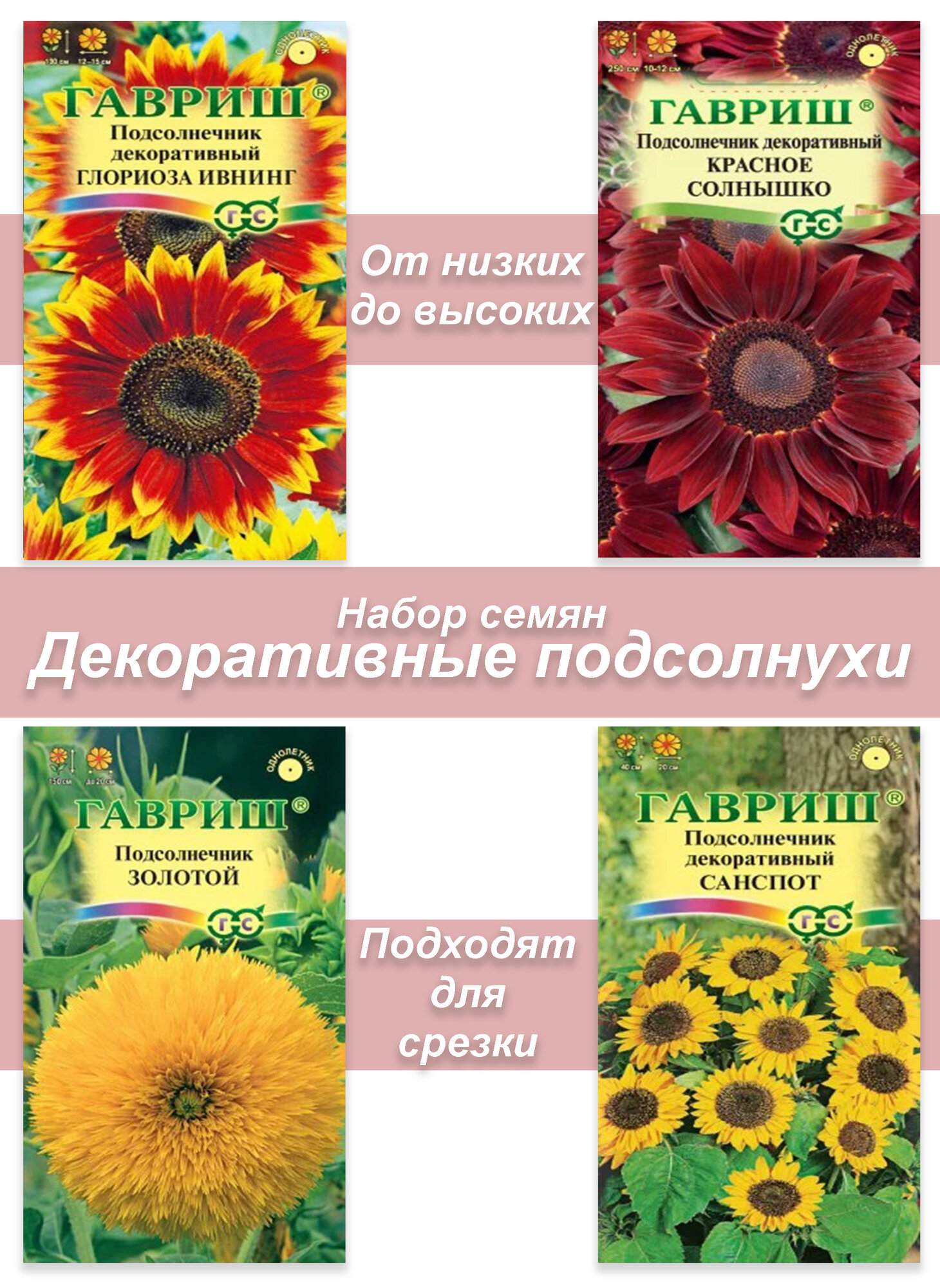 Семена декоративного подсолнуха 4 шт