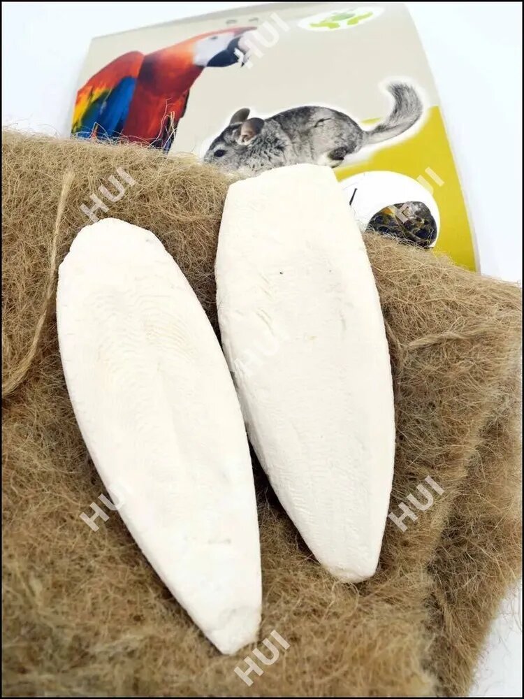 Сепия панцирь каракатицы 10 см без держателя