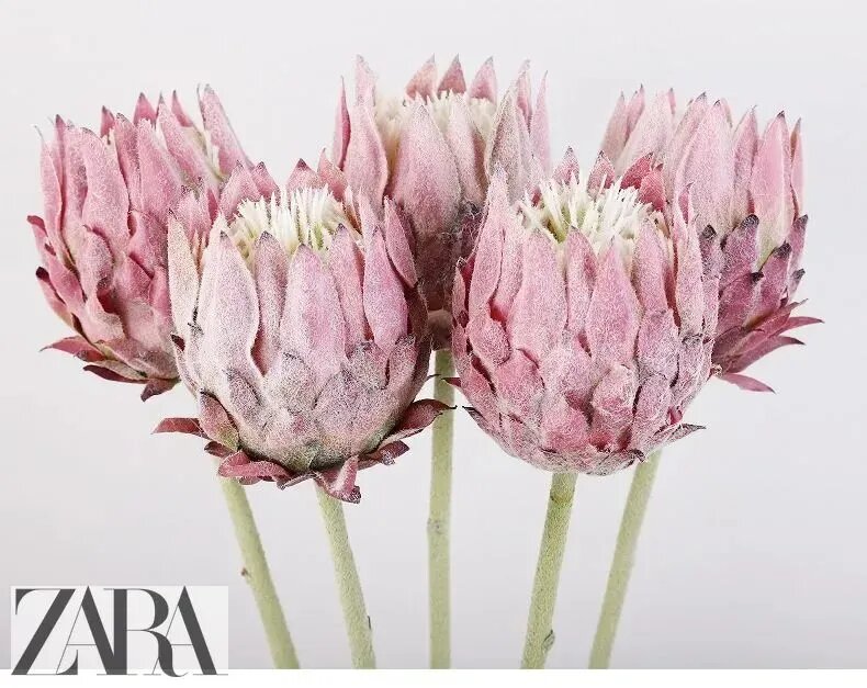 ZARA HOME Искусственные цветы,5шт