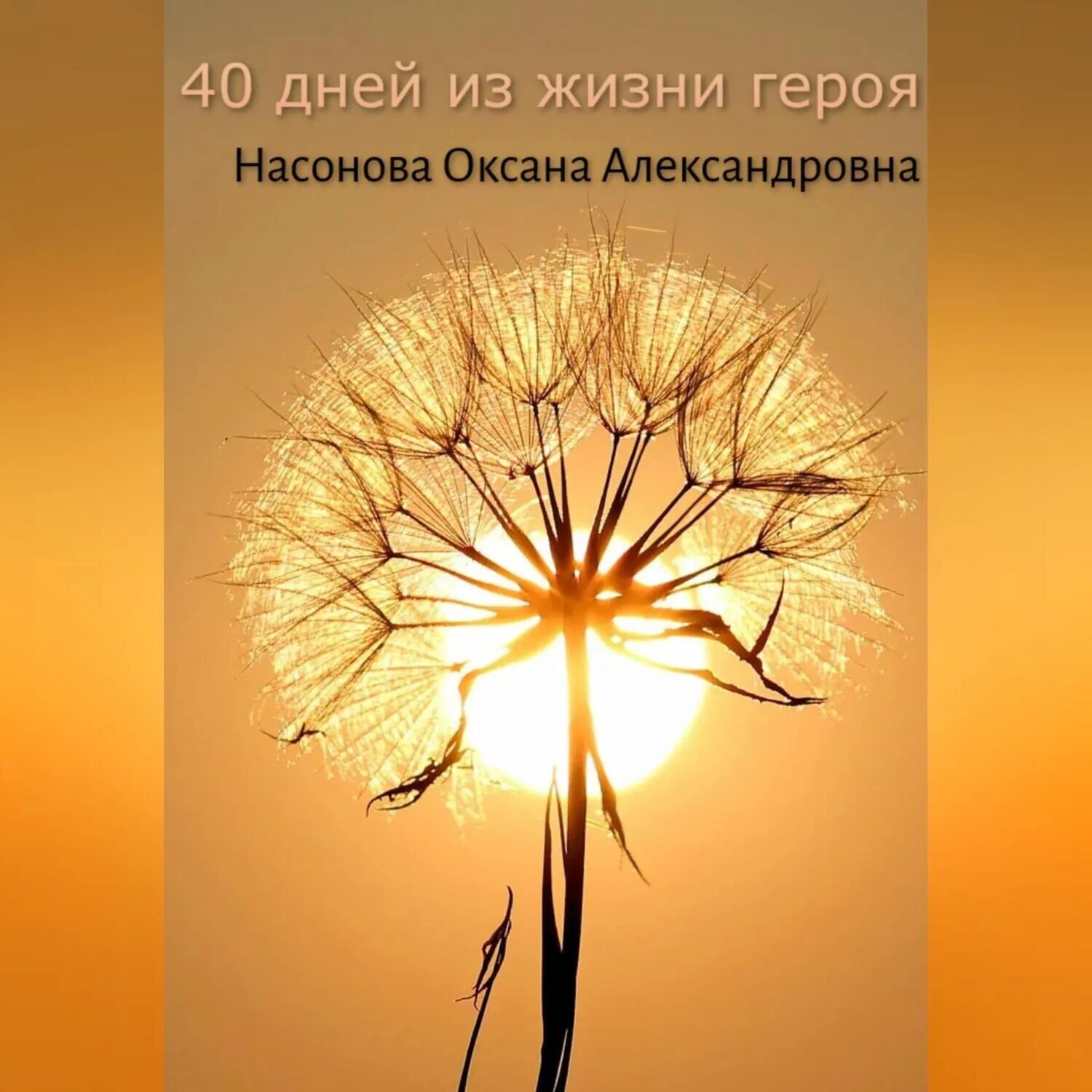 40 дней из жизни героя [Аудиокнига]