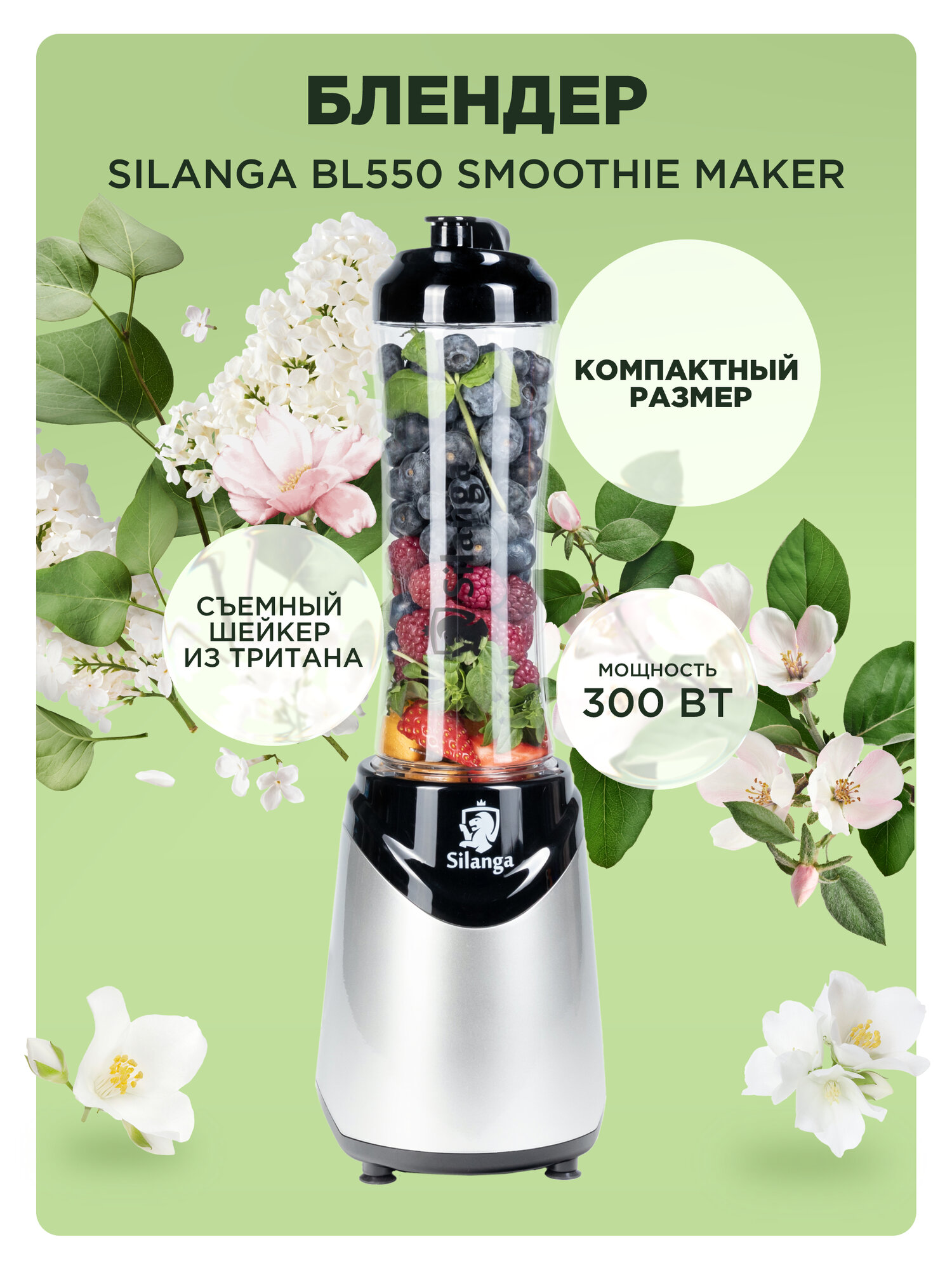 Стационарный блендер Silanga BL550 Gray