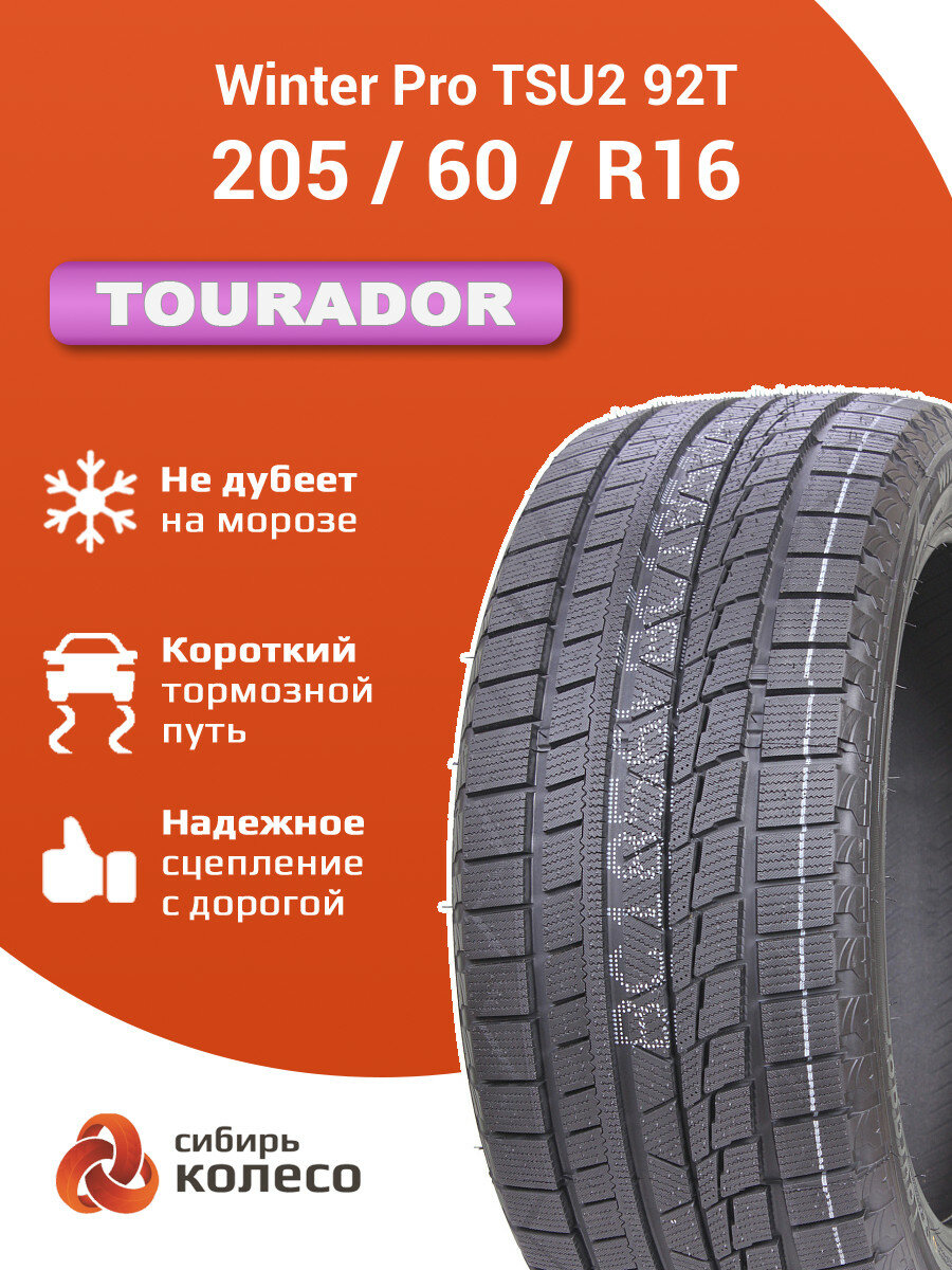 205/60R16 Tourador Winter Pro TSU2 92T