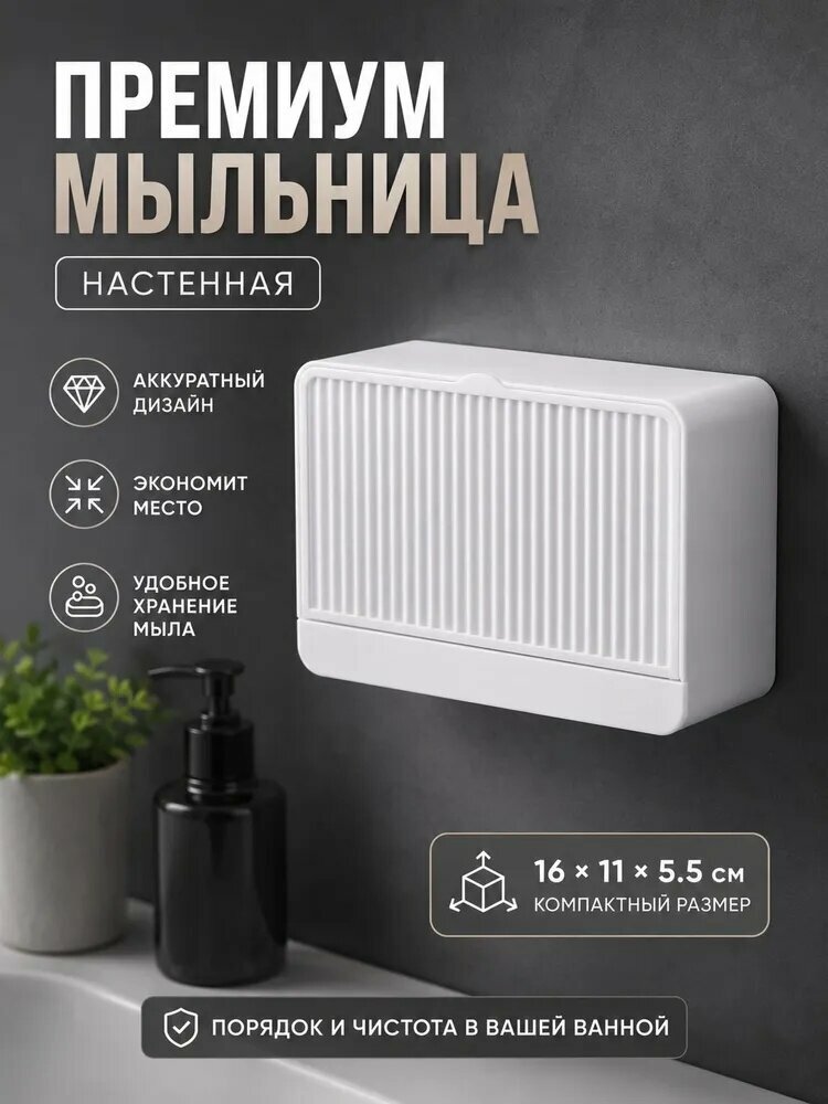 Мыльница