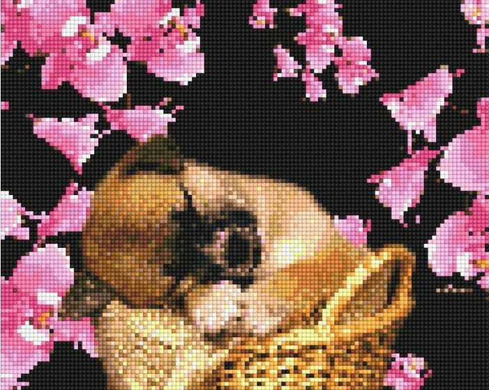 Sddi Anya Щенок и орхидеи 907431