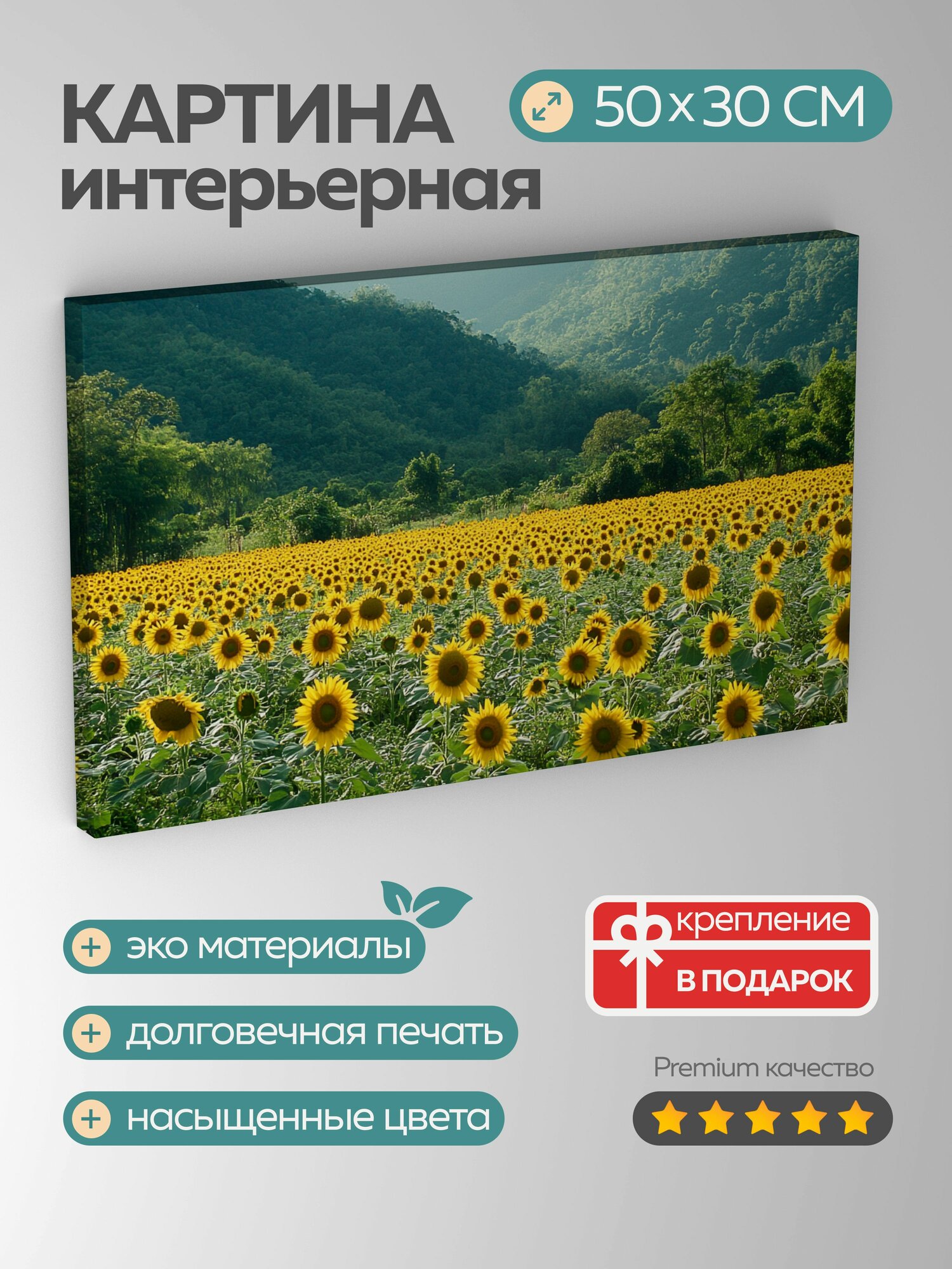 Картина на холсте интерьерная 50х30 см, подсолнечники, поле, желтые цветы, солнечный свет, зеленая листва, ISO 100, f