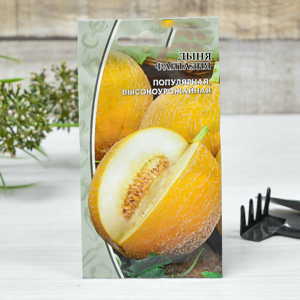 Семена дыни «Фантазия» среднеспелые, 10 шт, высокая урожайность, сочные плоды