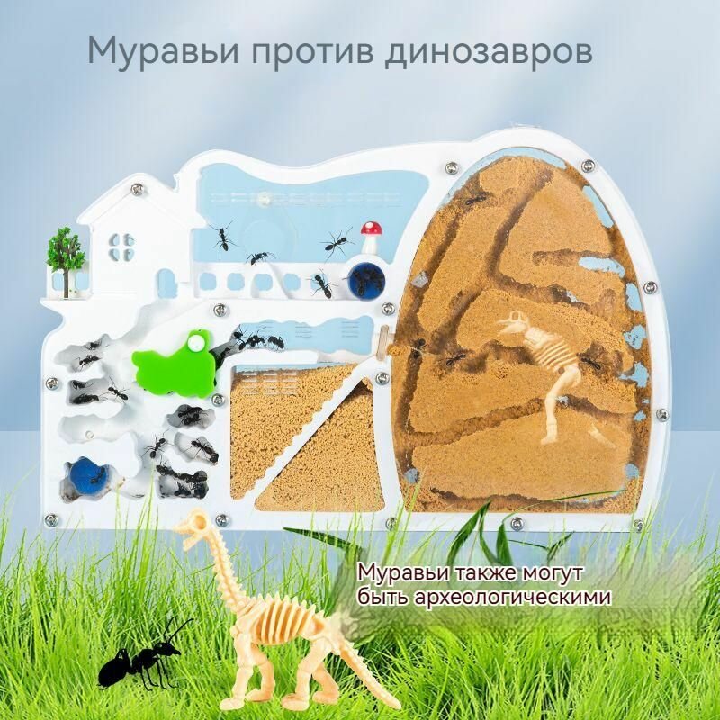 Муравьиная ферма "динозавр"+ Декор и Корм в подарок! Формикарий для муравьев