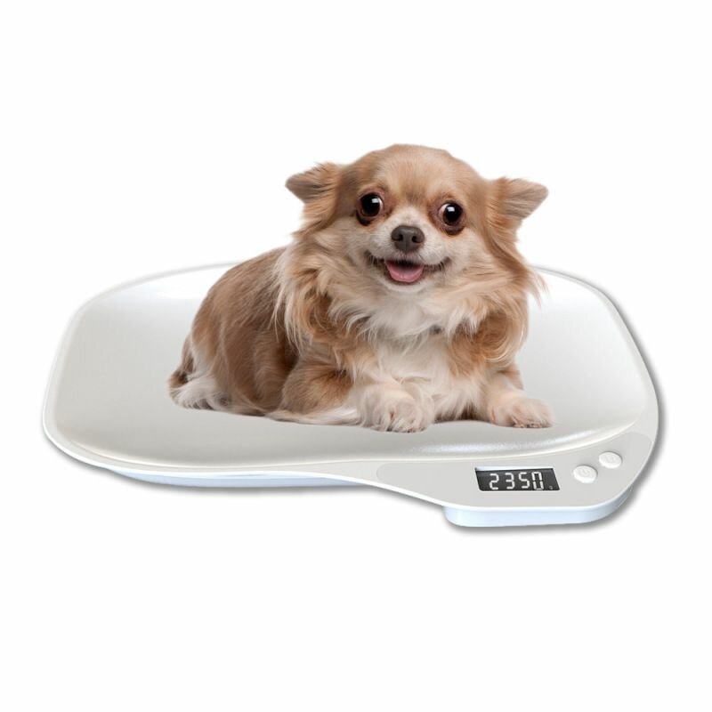 Весы для домашних животных, устройство для взвешивания мелких животных, точное измерение