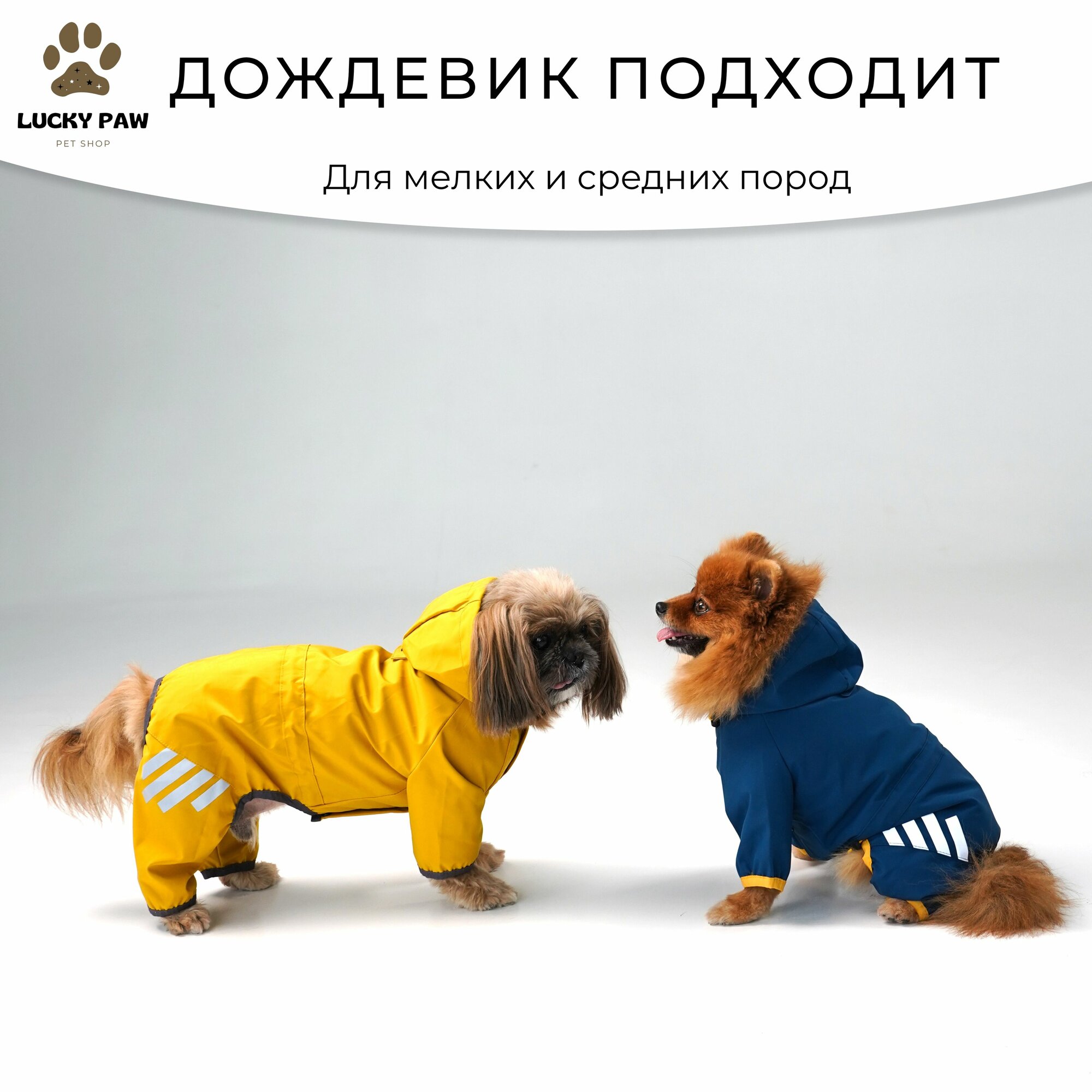 Одежда для животных — фото 1