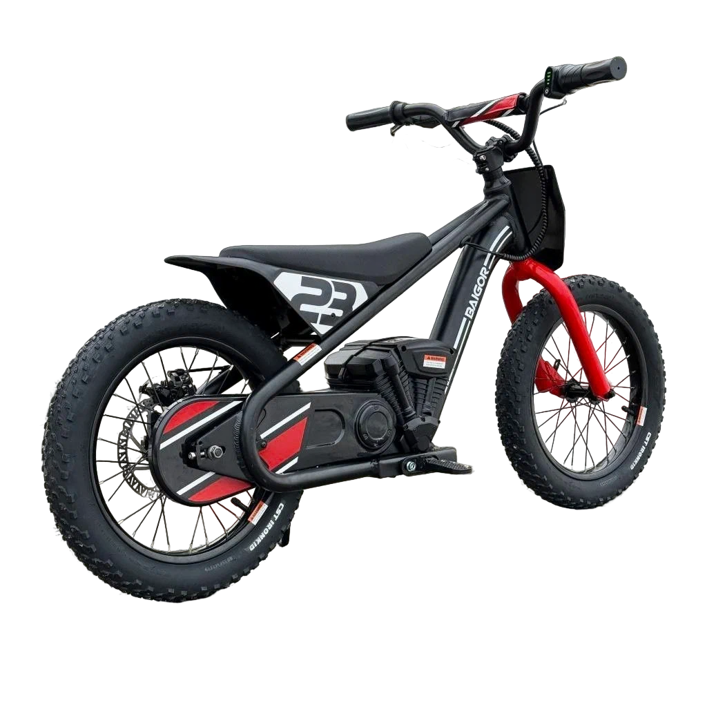 Электромотоцикл RiverToys A001AA, максимальная нагрузка 60кг, для детей 5-12лет, черный