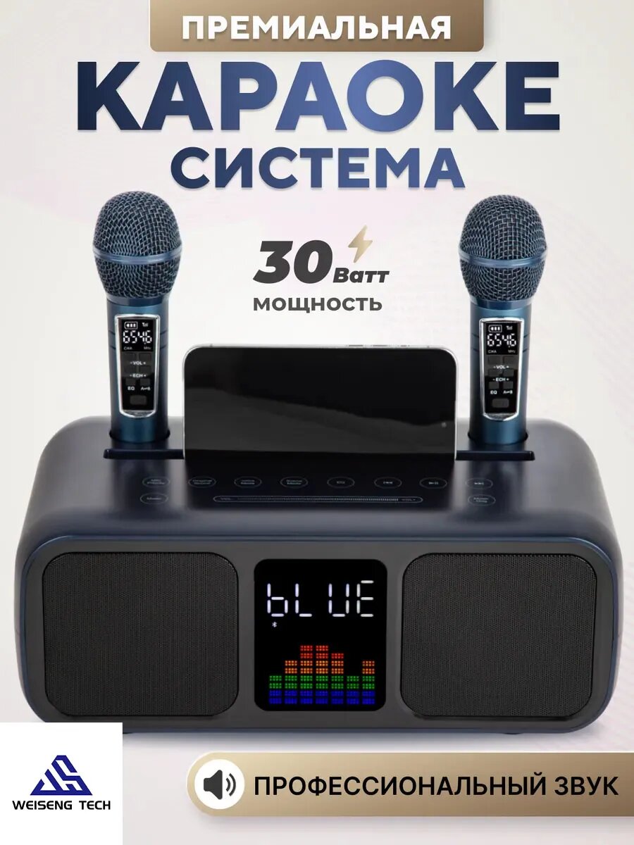 Беспроводной динамик Bluetooth SD318 с двумя микрофонами, аудио "все в одном" для караоке