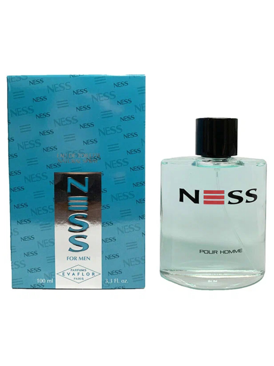Parfums Evaflor Мужской Ness For Men Туалетная вода (edt) 100мл