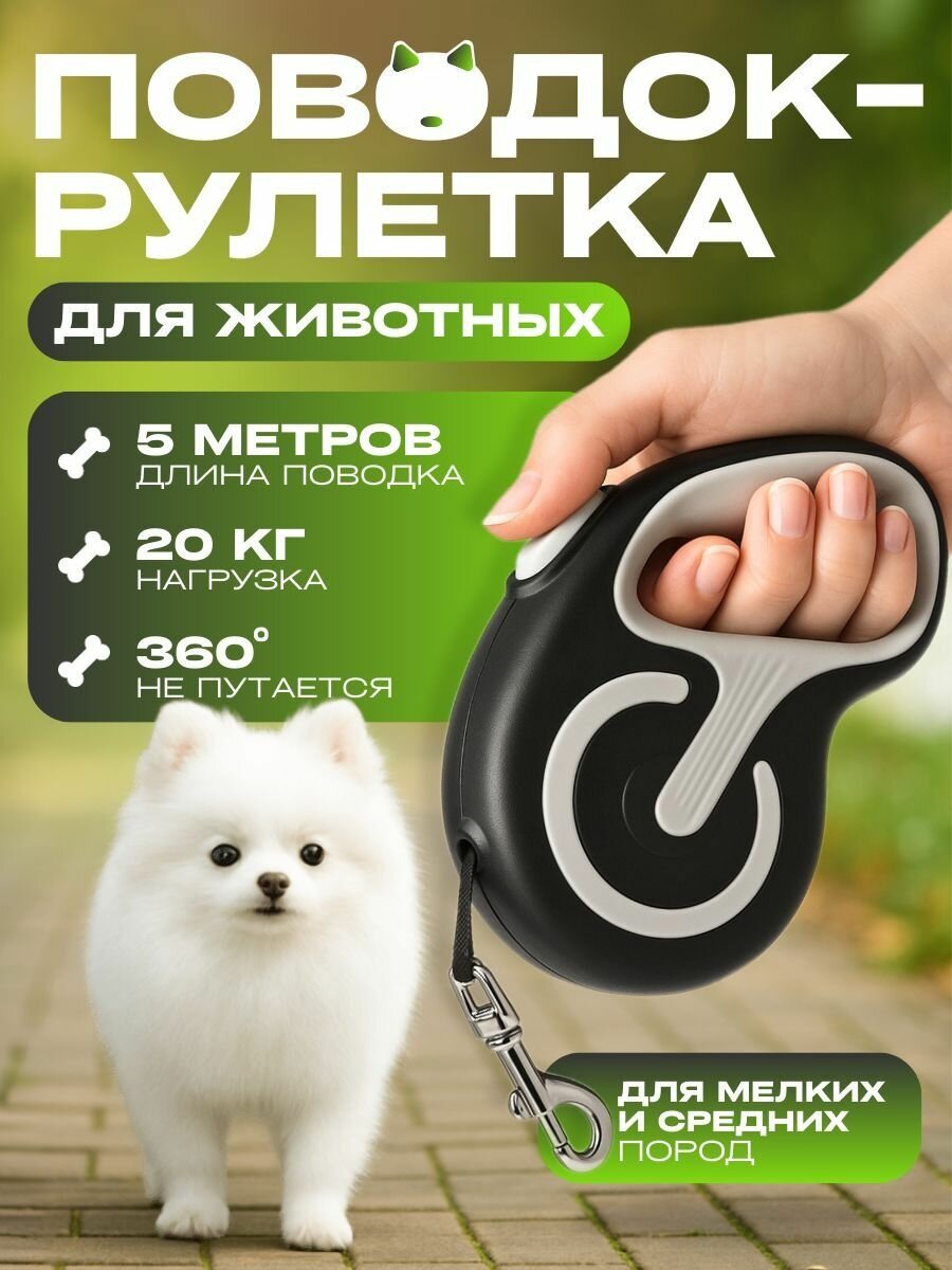 Поводок