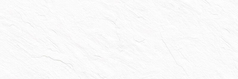 Керамическая плитка Delacora Leon White WT15LEN00R настенная 24,6х74 см белый