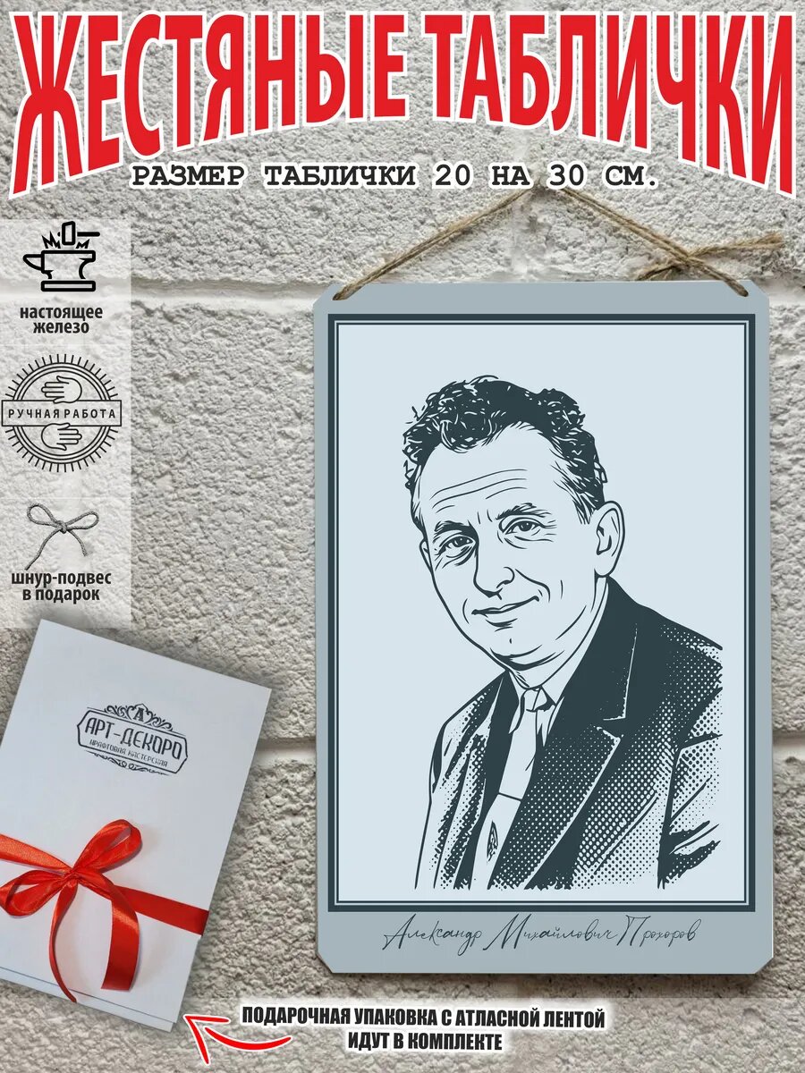 Прохоров Александр Михайлович портрет 20 на 30 см. шнур-подвес в подарок