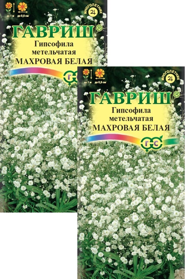 Семена Гипсофила метельчатая Махровая белая (0,0,5 г), 2 пакета, Гавриш