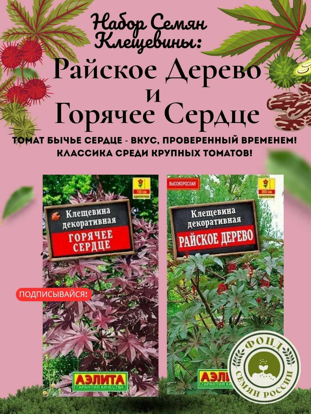 Набор Семян Клещевины Райское Дерево и Горячее Сердце, 10 шт. семян, 4 гр, 2 сорта