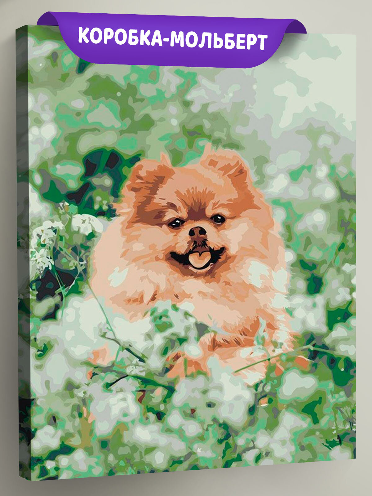 Картина по номерам на холсте с подрамником "Собаки: Шпиц в зелени и цветах" Раскраска 40x50 см, Животные Природа Щенок