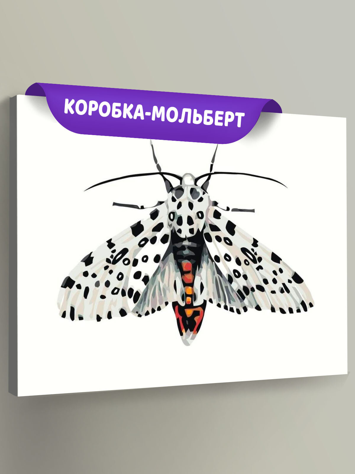 Картина по номерам на холсте с подрамником ЖпН Бабочки: мотылек минимализм, Раскраска, 40x50 см