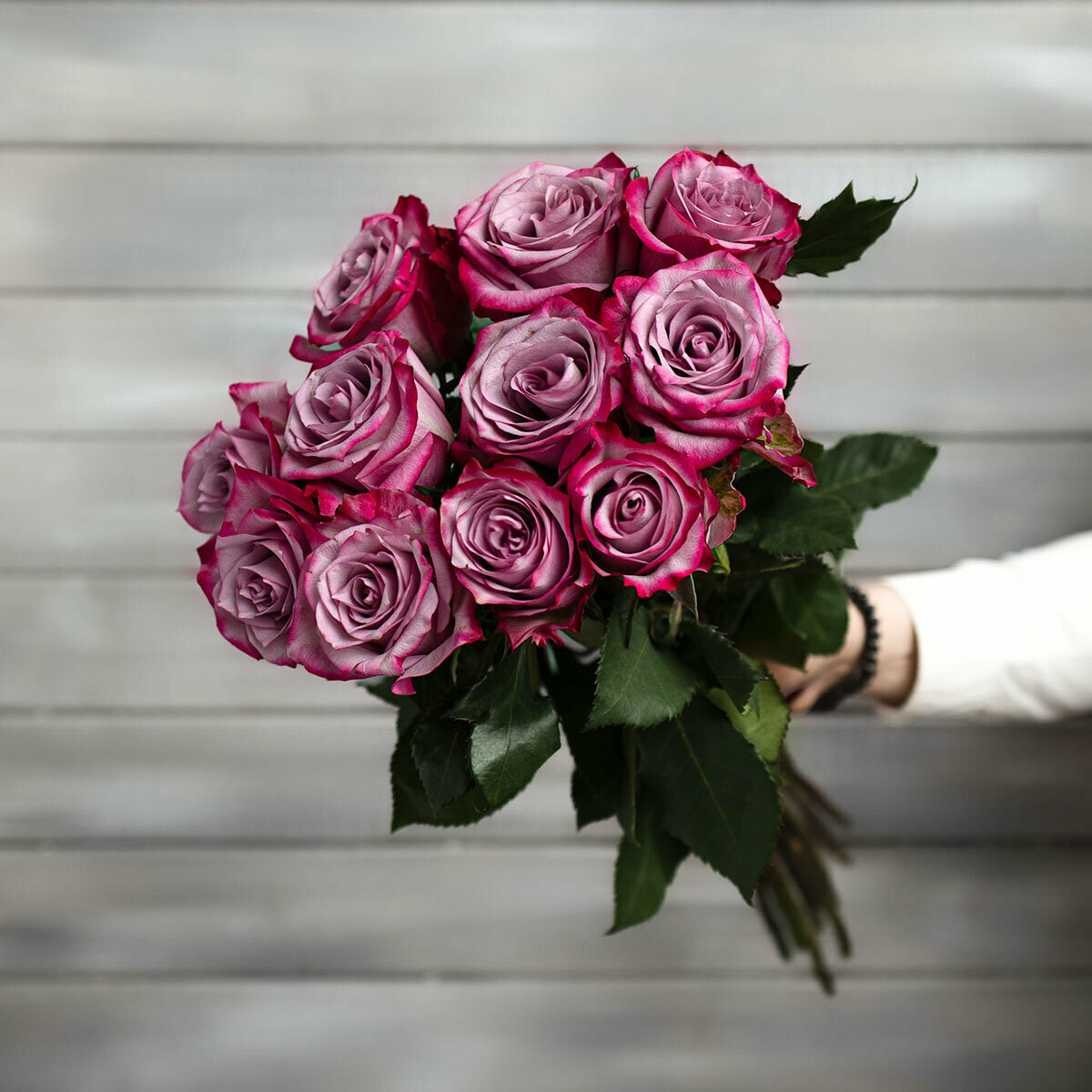 11 фиолетовых роз Эквадор, высота 50 см, монобукет от Букет Маркет