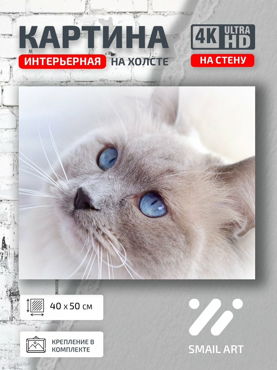 Картина на холсте интерьерная 40 на 50 на стену Глаза Animal для детской animal style декор
