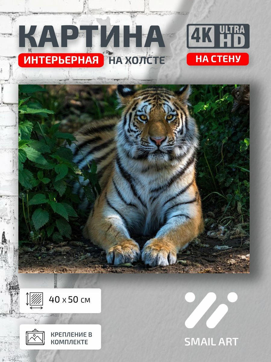 Картина на холсте интерьерная 40 на 50 на стену Важный Animal для детской animal style