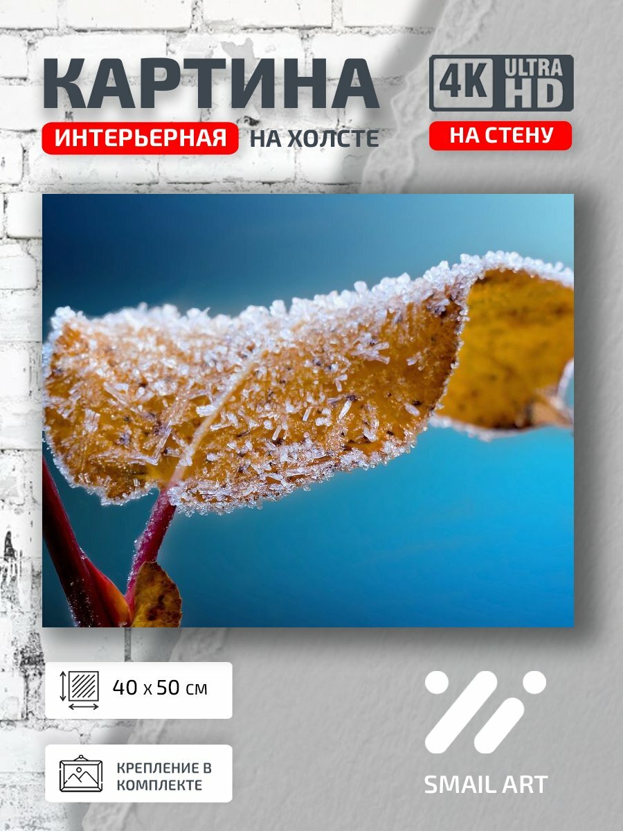 Картина на холсте интерьерная 40 на 50 на стену Иней Landscape для спальни пейзаж интерьер