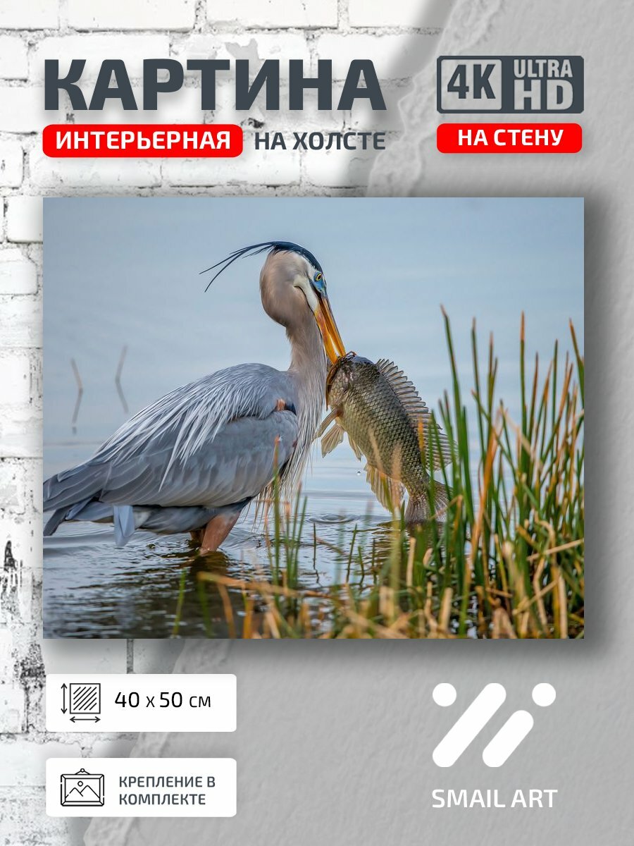 Картина на холсте интерьерная 40 на 50 на стену Птица Landscape для офиса пейзаж интерьер