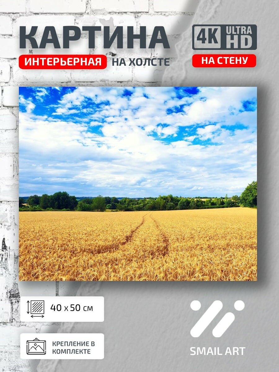 Картина на холсте интерьерная 40 на 50 на стену Пшеничное поле для спальни пейзаж