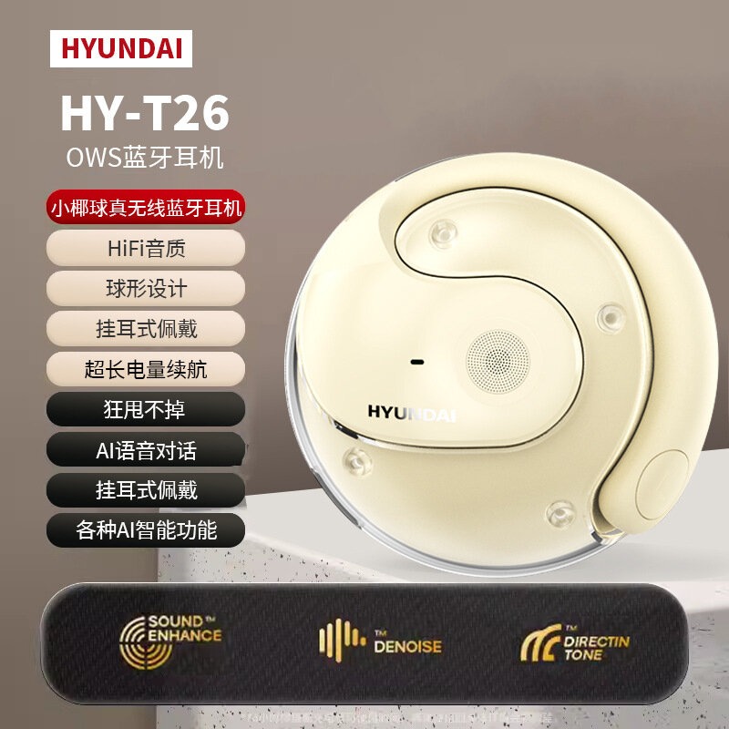 SG Горячие продажи Современные HY-T26pro Умные наушники для чтения и письма Беспроводные Bluetooth наушники с многоязычным переводом Тип с ушным крючком