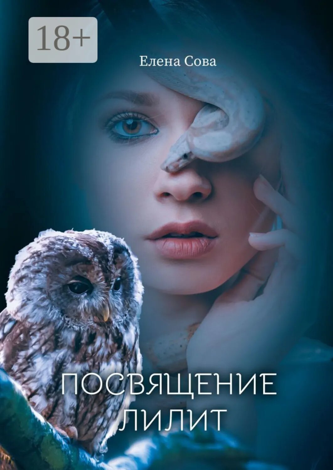 Посвящение Лилит [Цифровая книга]