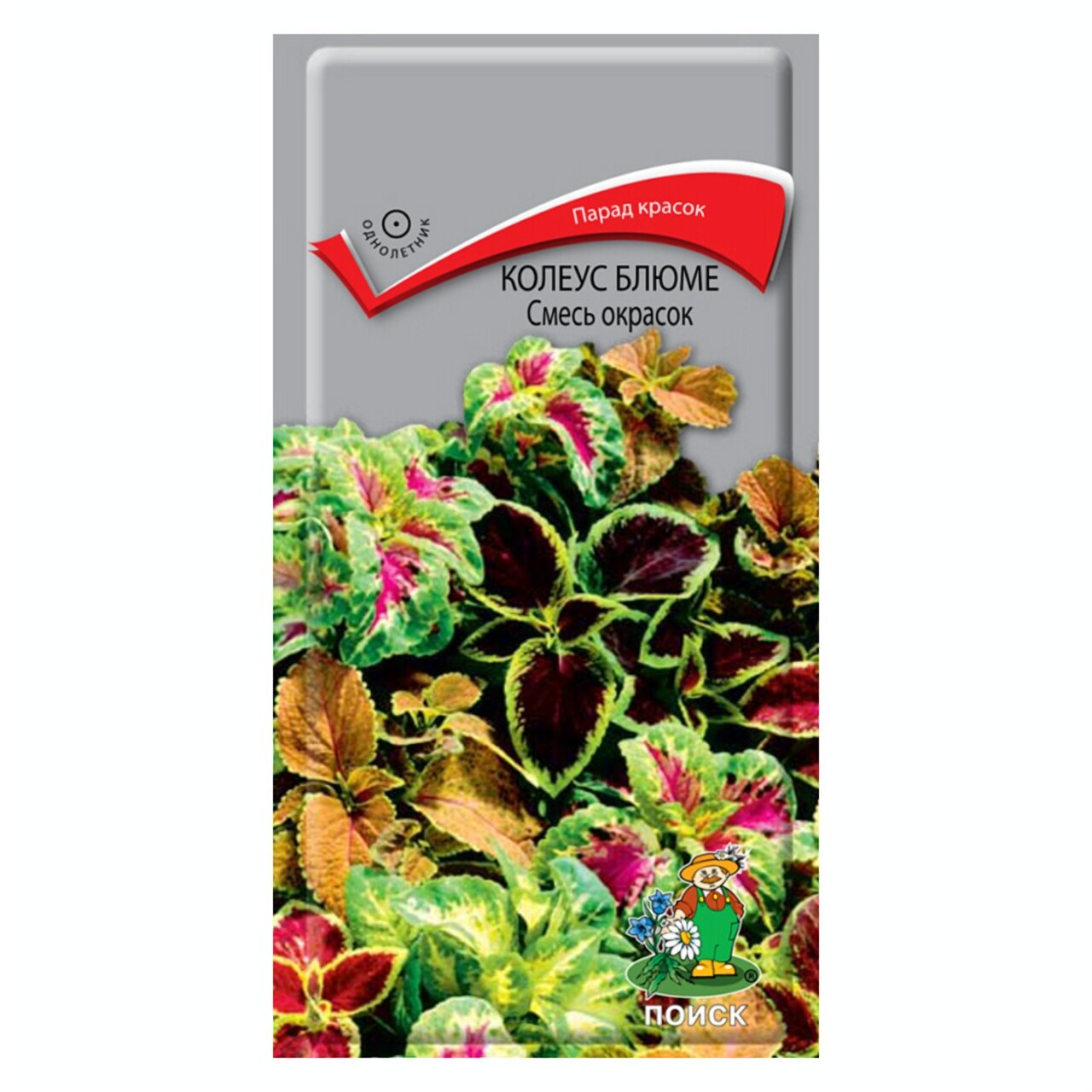 Семена Колеус блюме смесь окрасок поиск 0,1г, для дачи, сада, огорода и на рассаду