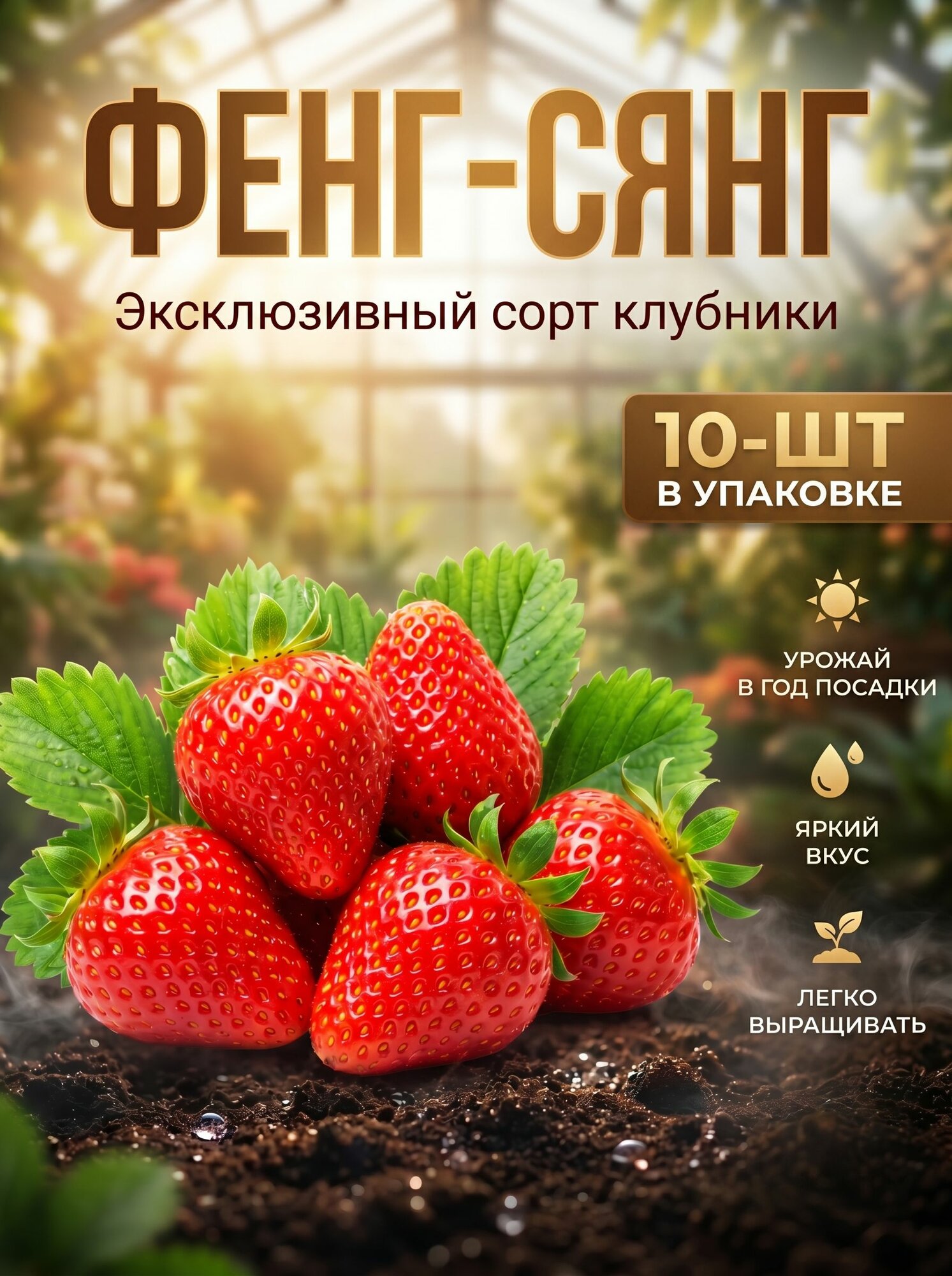 Саженцы клубники Фенг-Сянг ремонтантный 10-шт