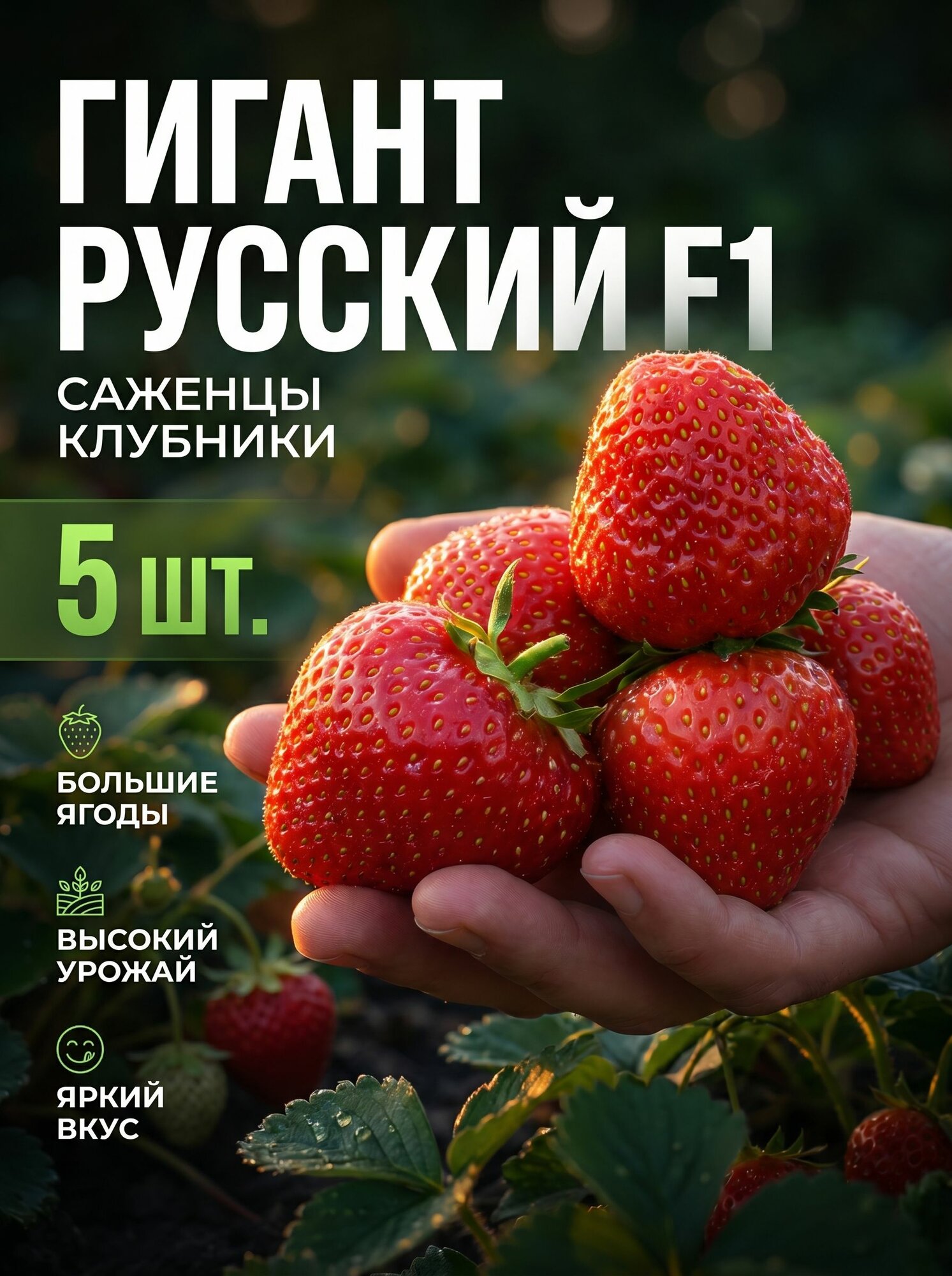 Саженцы клубники Русский Гигант F1 5-шт