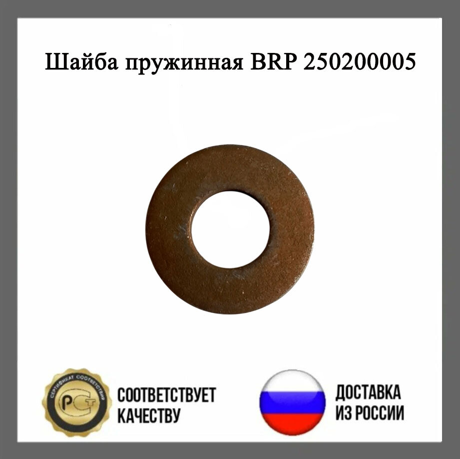 Шайба пружинная BRP 250200005