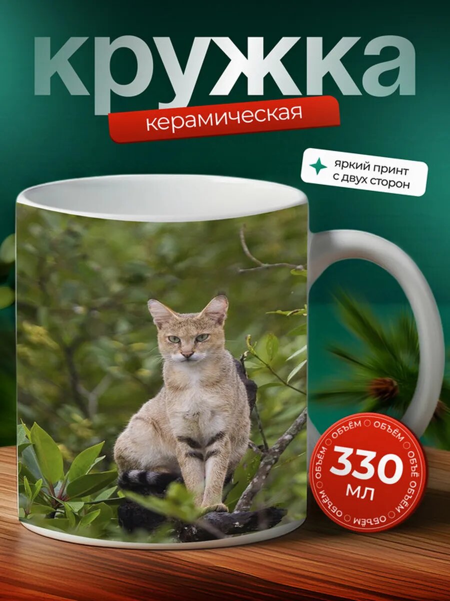 Кружка Конголезский бамбуковый кот 9,