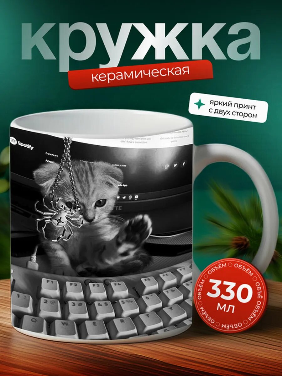 Кружка Эстетик кот 24,