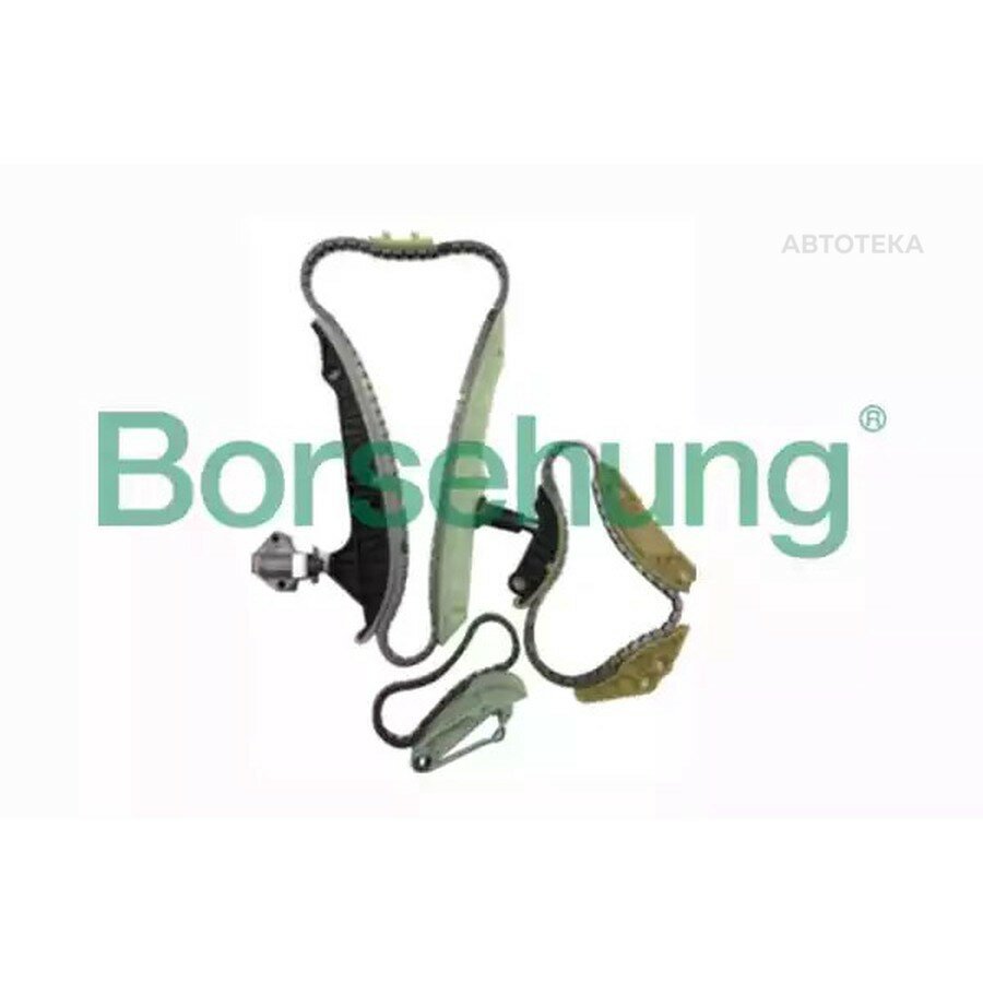 Комплект цепи ГРМ BORSEHUNG B18468