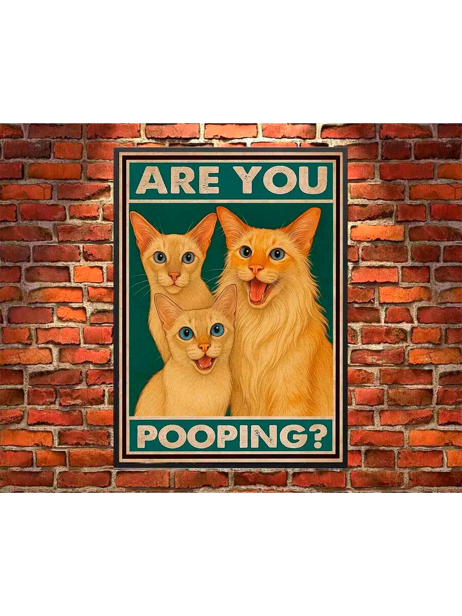 Яванская кошка, Are You Pooping, Плакат 30x42см