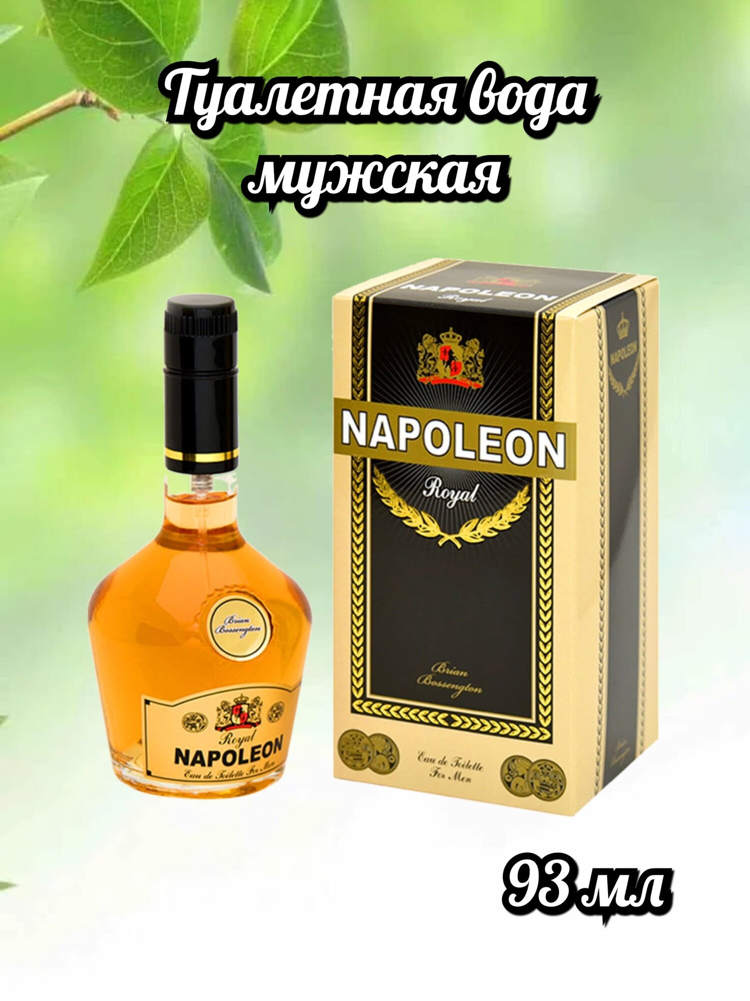 Туалетная вода мужская NAPOLEON Royal / 93 мл