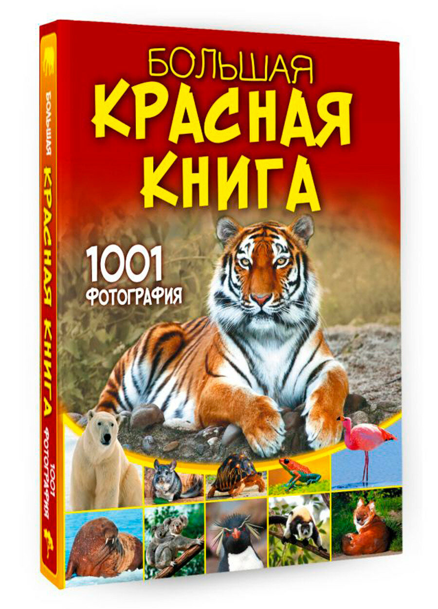 Большая красная книга. 1001 фотография Спектор А. А.