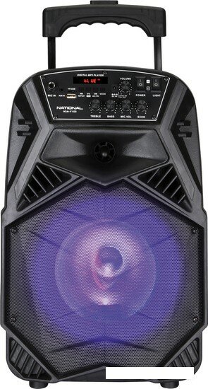 Портативная акустика National NSM-V100 чёрный