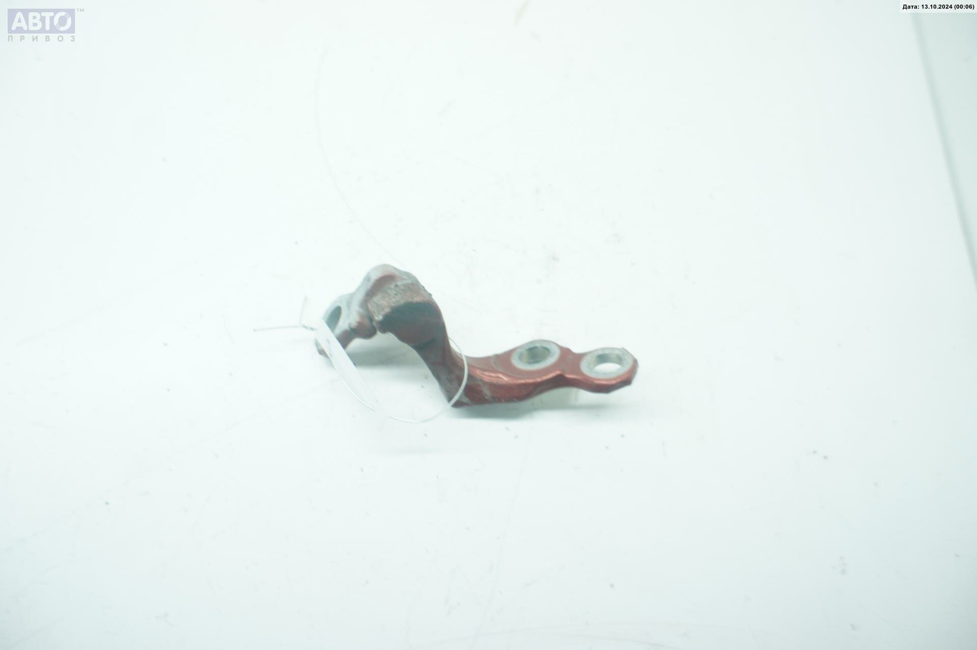 Петля двери задней правой Ford Focus 2 (2004-2010)