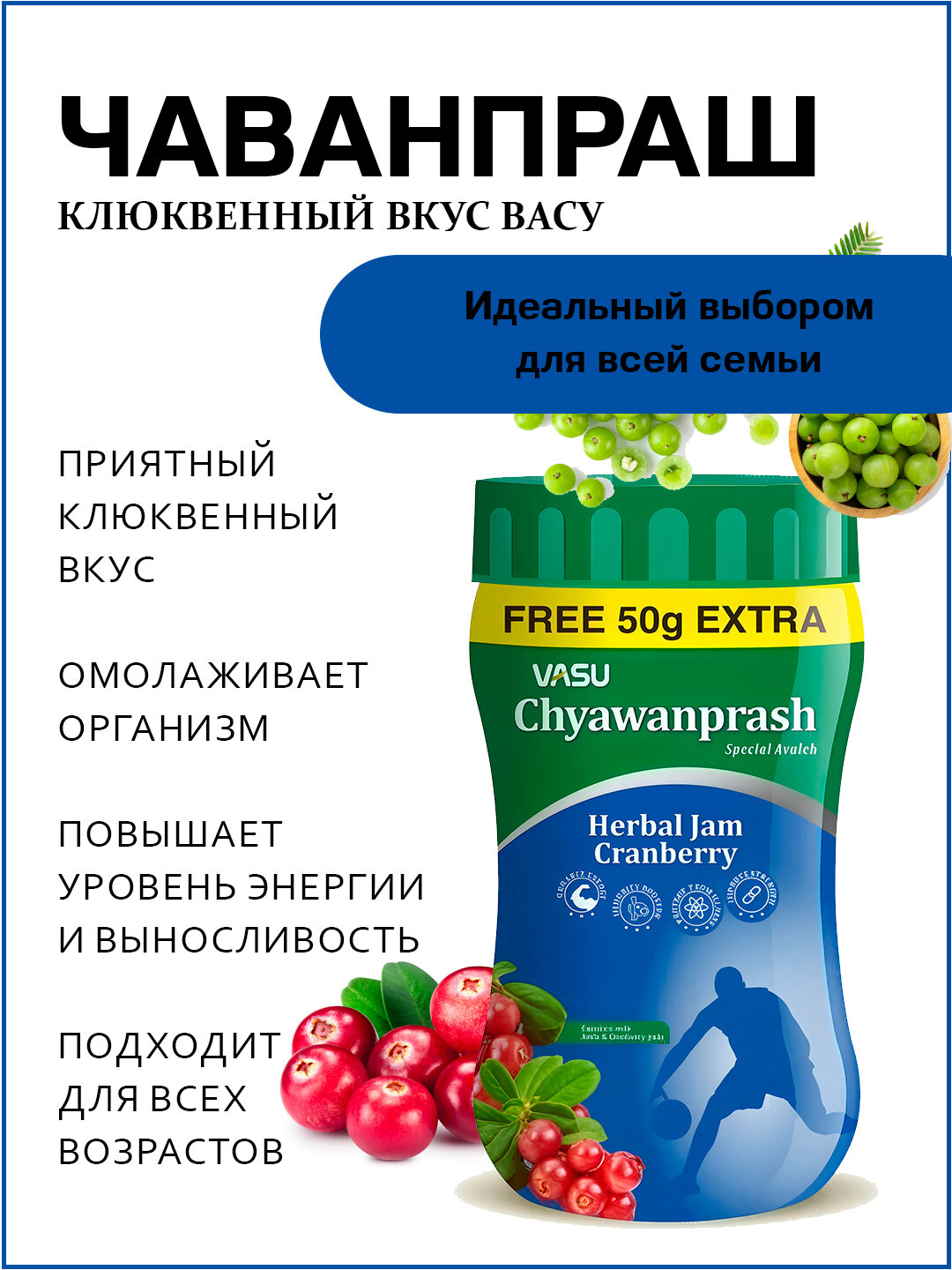 Чаванпраш Клюквенный вкус Васу / Chyawanprash Cranberry Flavor Vasu 550 гр
