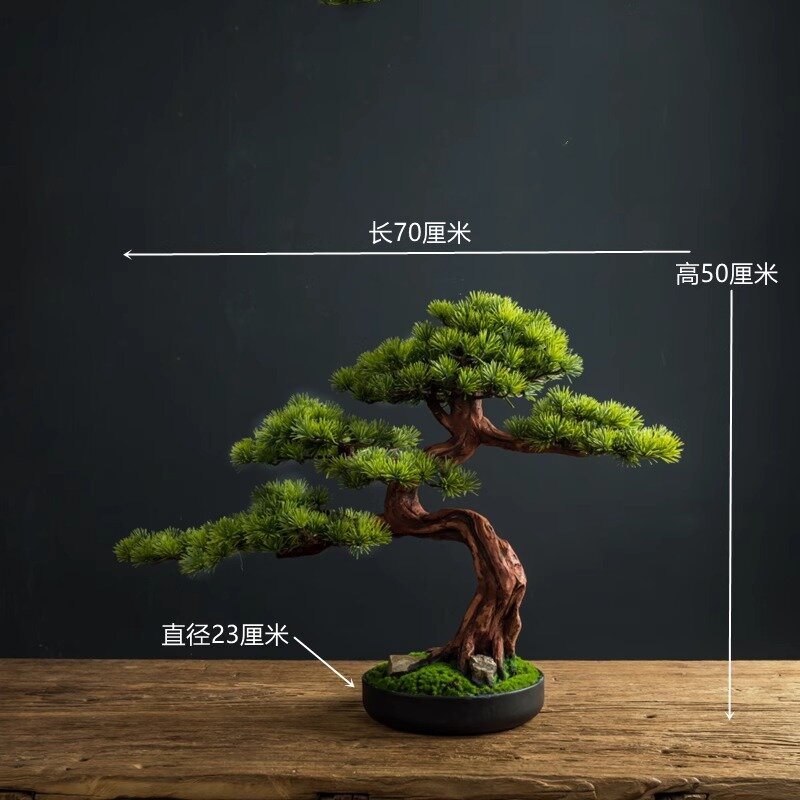 Растение для украшения "Бонсай", массив дерева, черная сосна, зеленые листья,