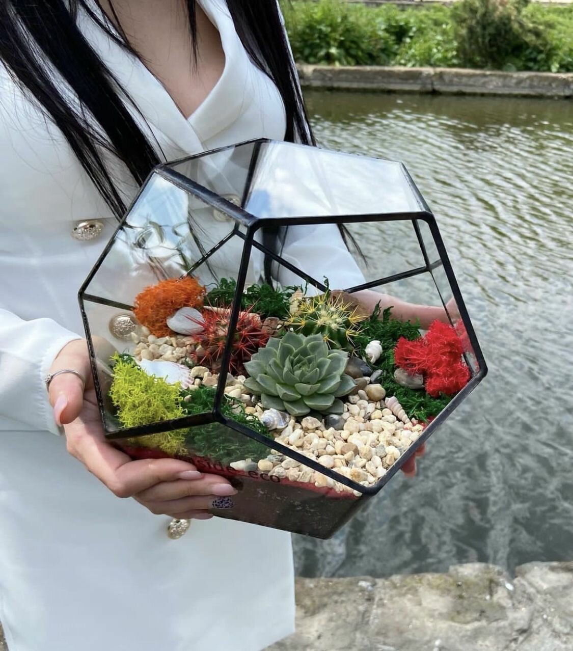 Флорариум интерьерный / Комнатное растение в вазе / Подарок